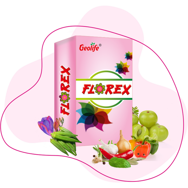 Geolife Florex Flower Booster for Flowering Stage of Crops – Geolife Shop